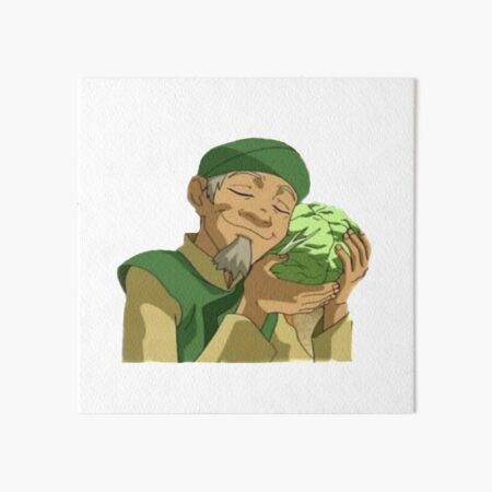 "Cabbage Man Avatar the Last Airbender " Art Board Print by Savoryyyy ...