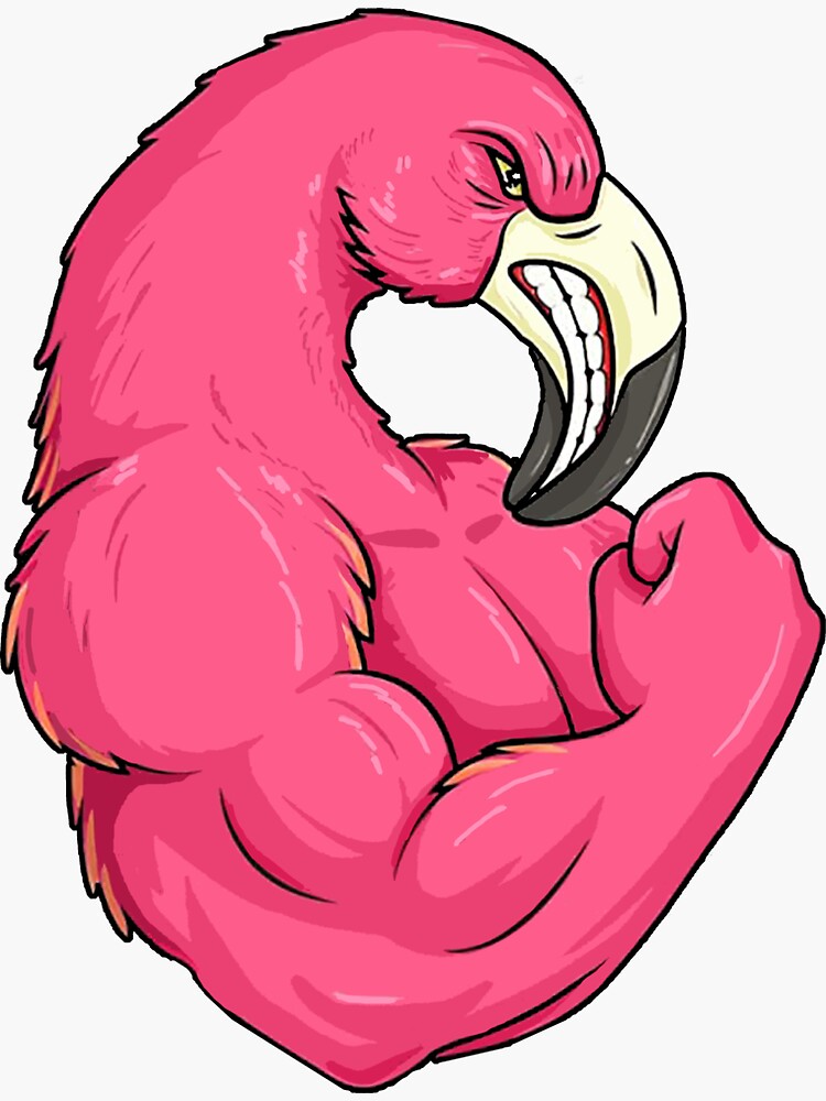 "Muscle Flamingo Gymer Fitness Workout Bird" Sticker for Sale by ...