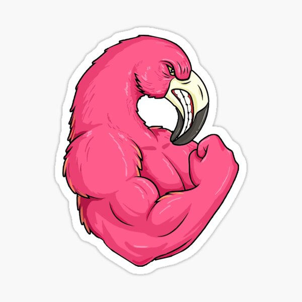 "Muscle Flamingo Gymer Fitness Workout Bird" Sticker for Sale by ...
