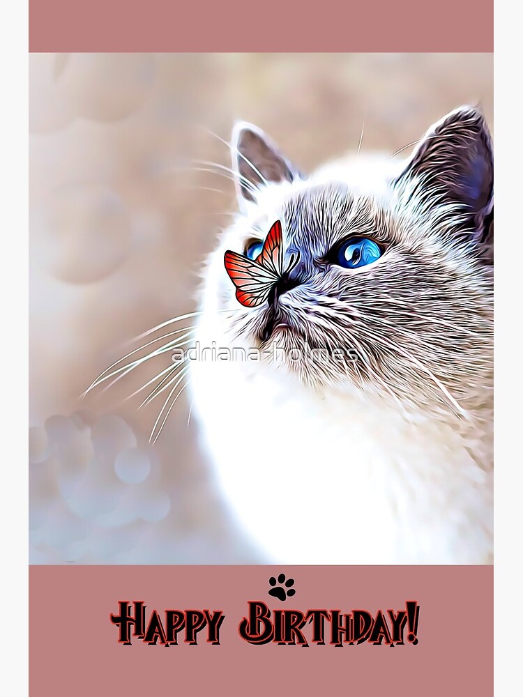 Happy Birthday Siamese Cat Images