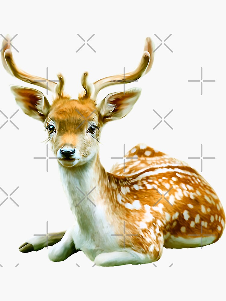 "Little Beautiful Fallow Deer (Spotted White Deer)" Sticker for Sale by ...