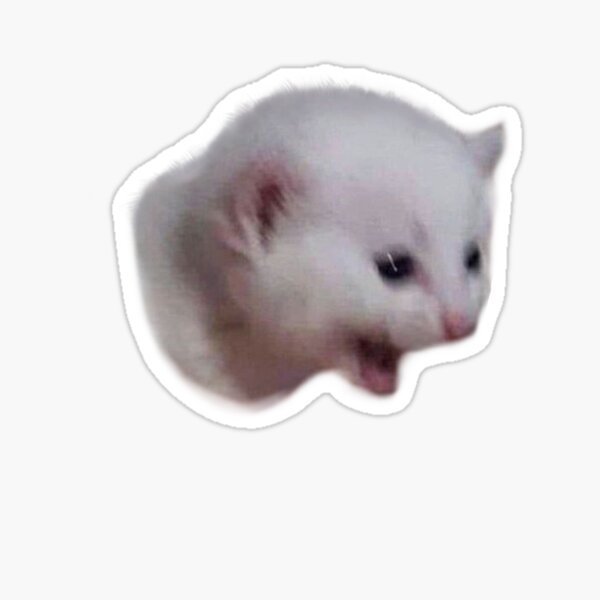 "Cringing Cat meme" Sticker for Sale by Jerphy | Redbubble
