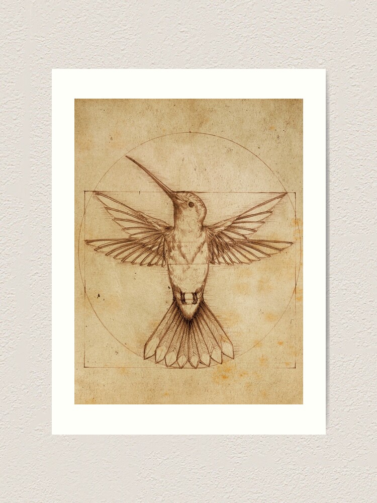 "Leonardo da Vinci - Colibri Drawing" Art Print for Sale by rodemann09 ...