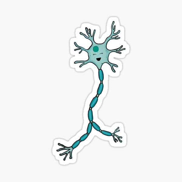 "happy neuron" Sticker for Sale by elizhodges | Redbubble