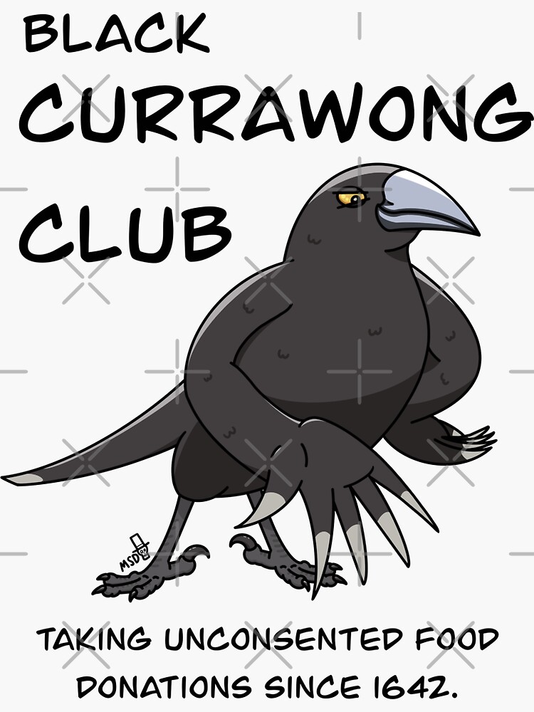 "Black Currawong Club - Tasmanian Bird" Sticker for Sale by ...