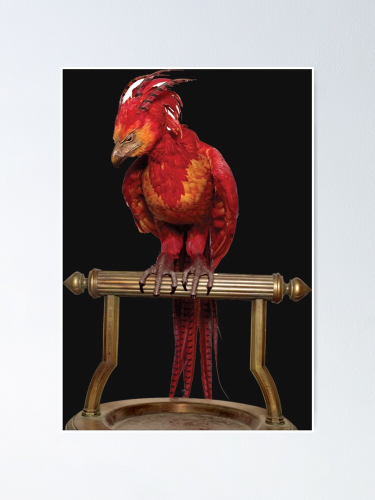 "dumbledore phoenix" Poster by AhmedXhah | Redbubble