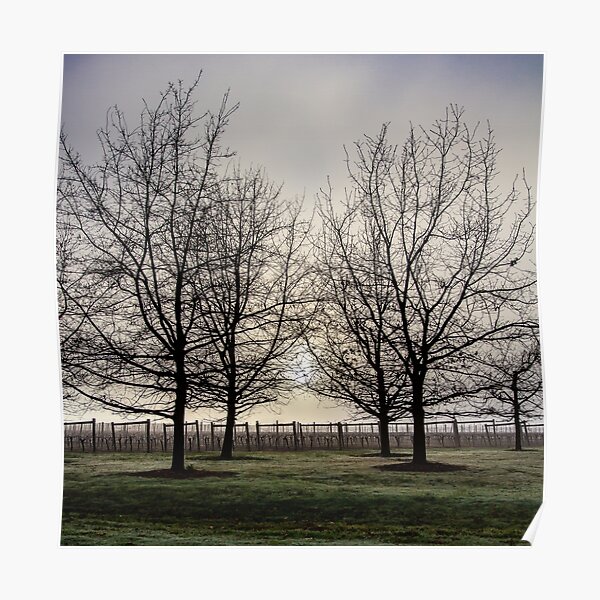 "Break Through" Poster by AGDimages | Redbubble