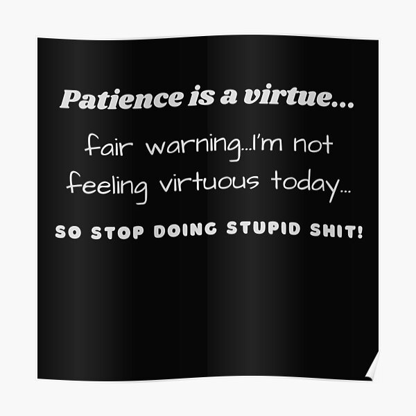 "Stop doing stupid shit! " Poster by Zeldastar | Redbubble
