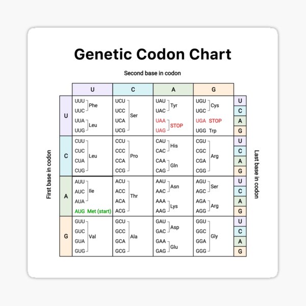 "Genetic Codon Chart" Sticker for Sale by labstud | Redbubble