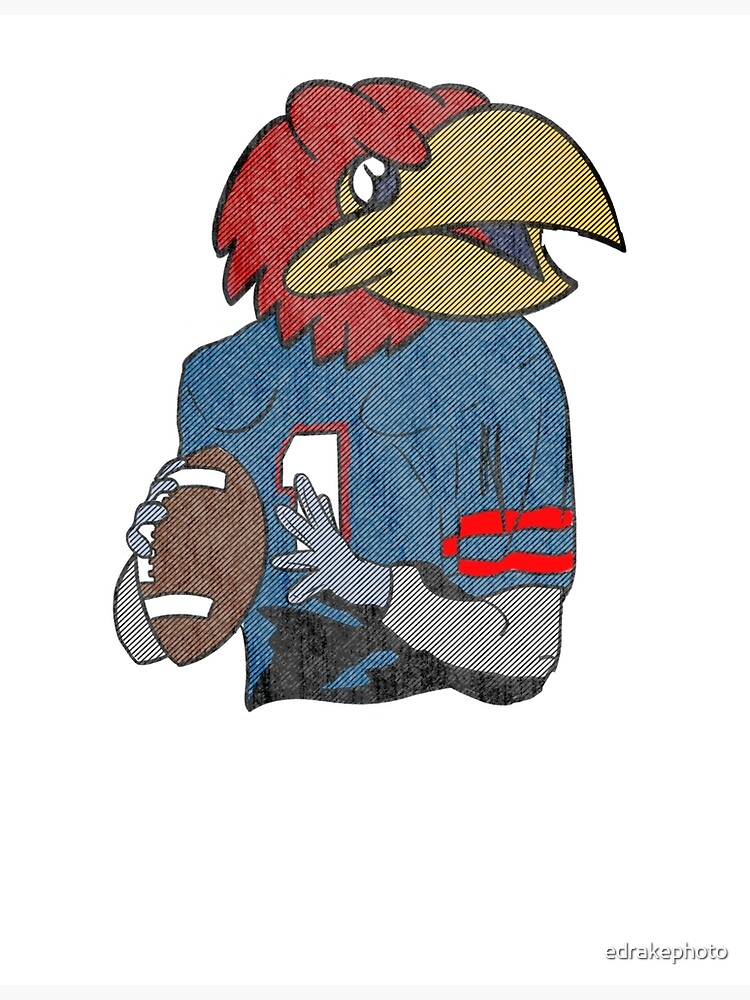 "Vintage football hawk" Poster for Sale by edrakephoto | Redbubble