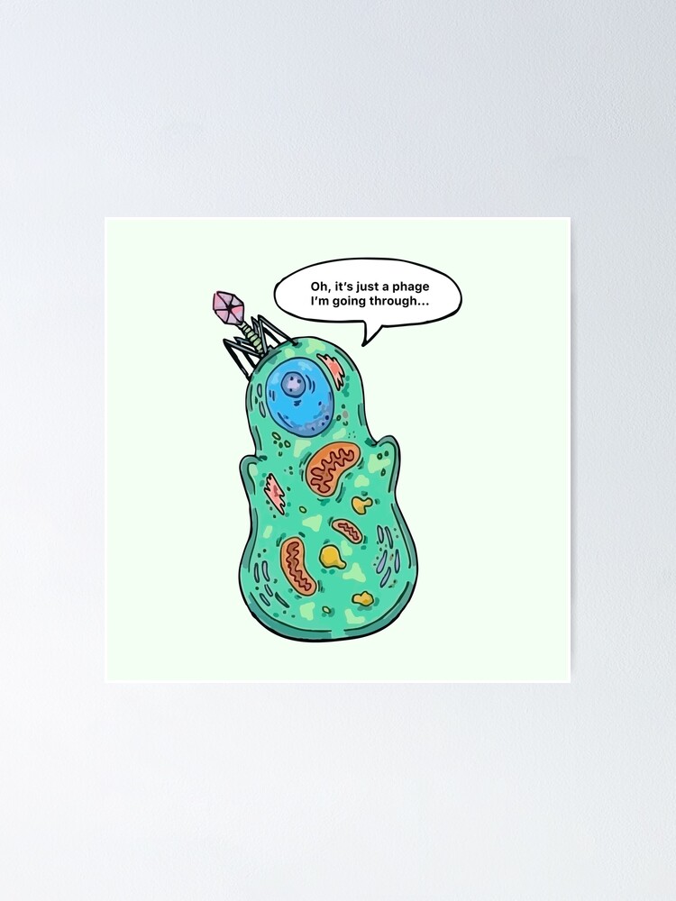 "Bacteria Bacteriophage. Oh, It's just a phage I'm going through ...