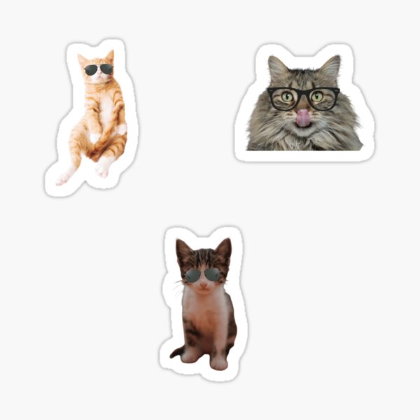 "Funny Cat Memes" Sticker by ahmedsherif549 | Redbubble