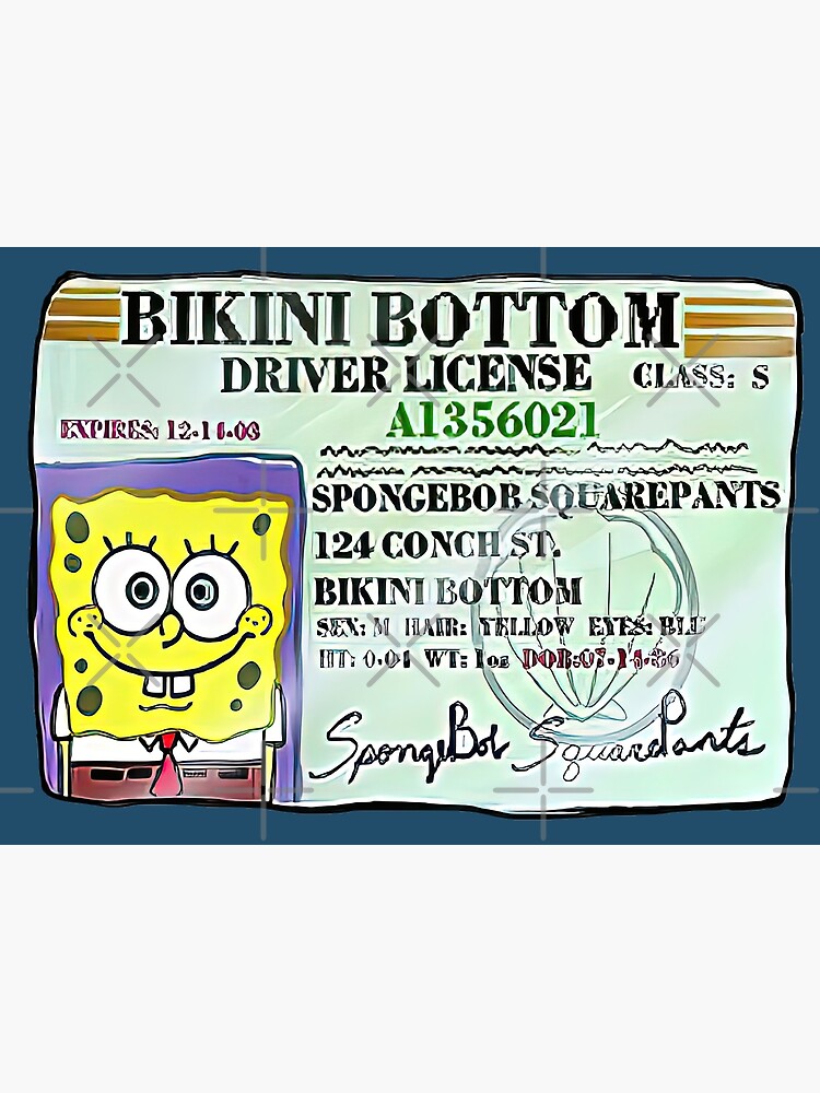 "BIKINI BOTTOM DRIVER LICENCE" Poster by VINTAGEGARAGE | Redbubble