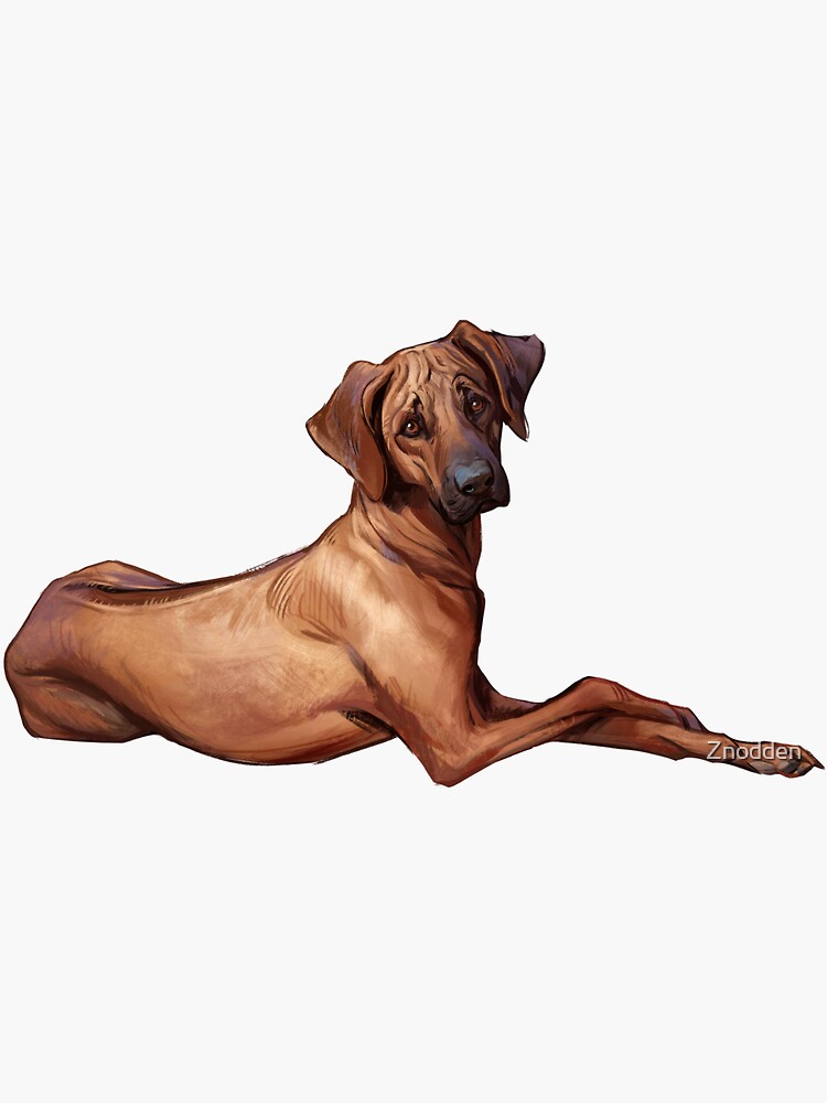 "Rhodesian Ridgeback" Sticker for Sale by Znodden | Redbubble