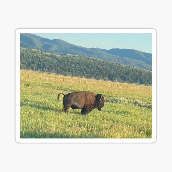 "The Wild" Sticker for Sale by BrittneyLeo | Redbubble