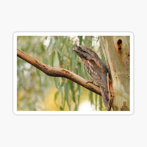 "Incognito " Sticker by CBoyle | Redbubble