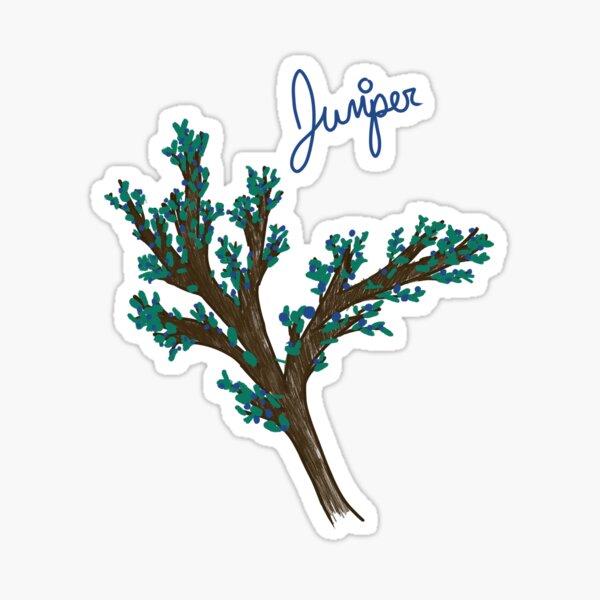 "Juniper" Sticker for Sale by Your-cup-of-T | Redbubble