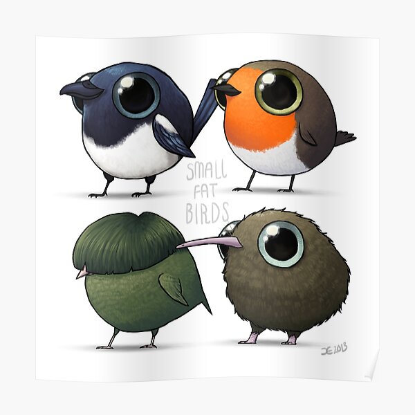 "Small Fat Birds" Poster by Demmy | Redbubble