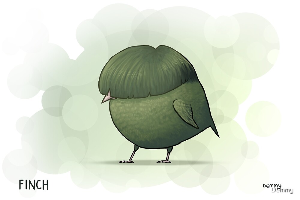"Cute Fat Finch" by Demmy | Redbubble
