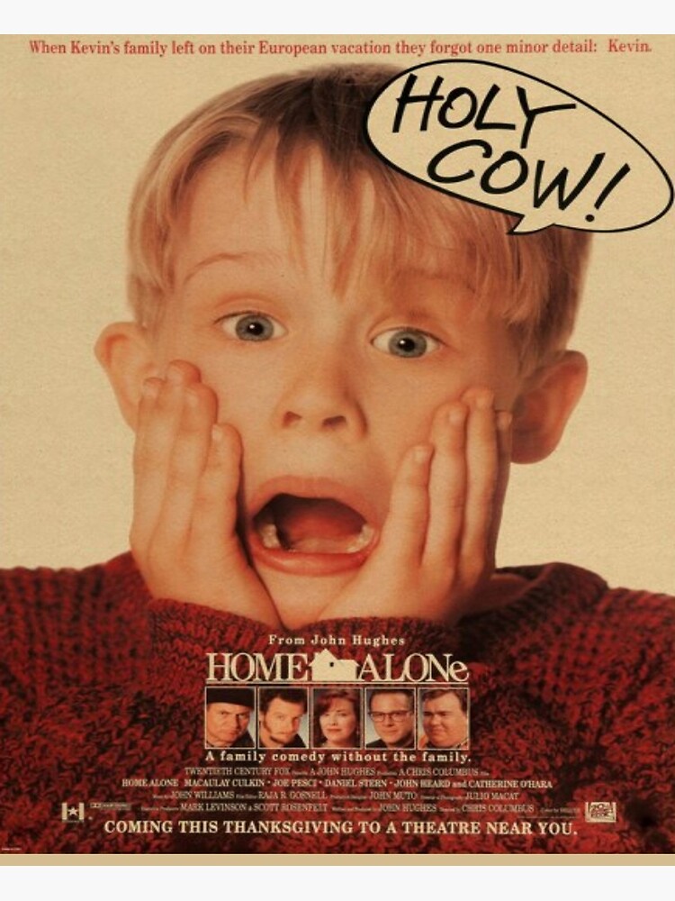 "Home Alone (1990) Movie" Poster for Sale by LovedPosters | Redbubble