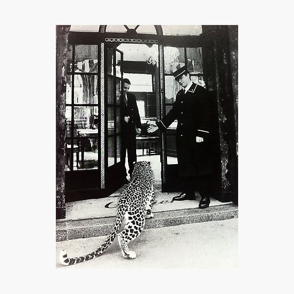 "Welcome Tiger Vogue Vintage" Photographic Print for Sale by ...