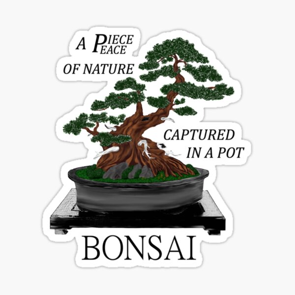 "What Is Bonsai" Sticker for Sale by KennyDalglish | Redbubble