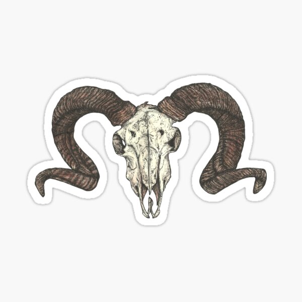 "Ram Skull" Sticker for Sale by SerenSketches | Redbubble