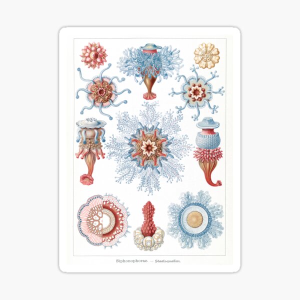 Manowarshirt Gifts & Merchandise for Sale | Redbubble