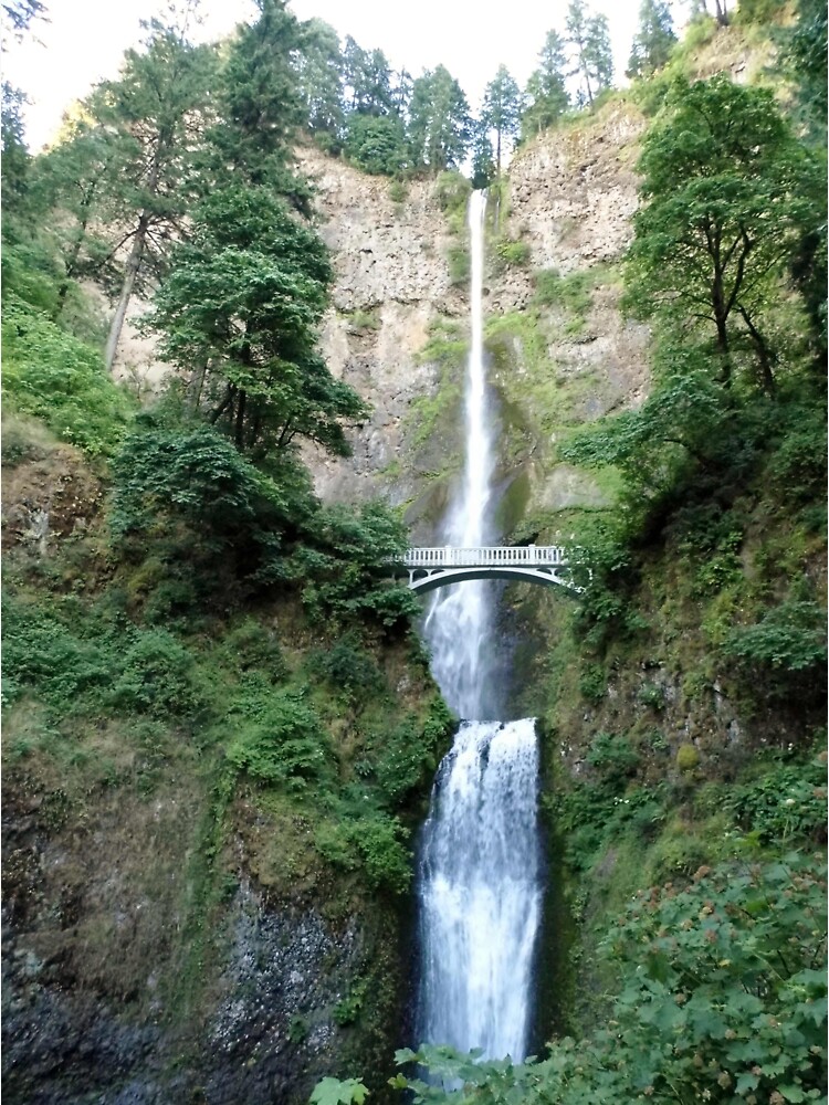 "Multnomah Falls" Sticker for Sale by DaisyMaePrints | Redbubble