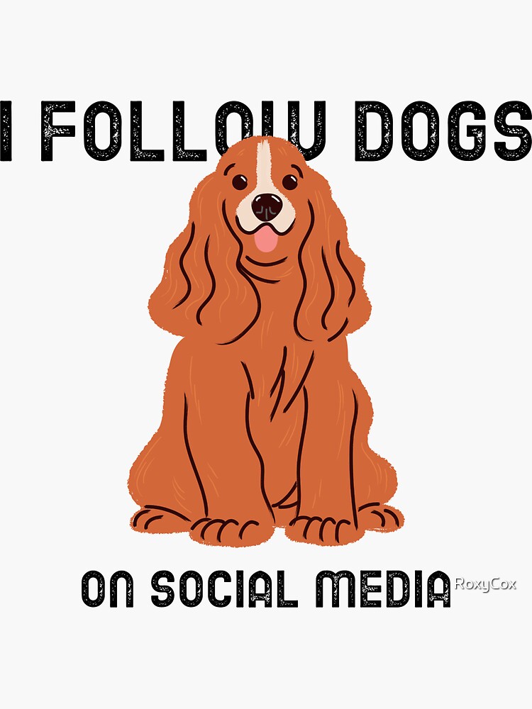 Pegatina «Sigo a los perros en la camiseta de las redes sociales, sigo ...