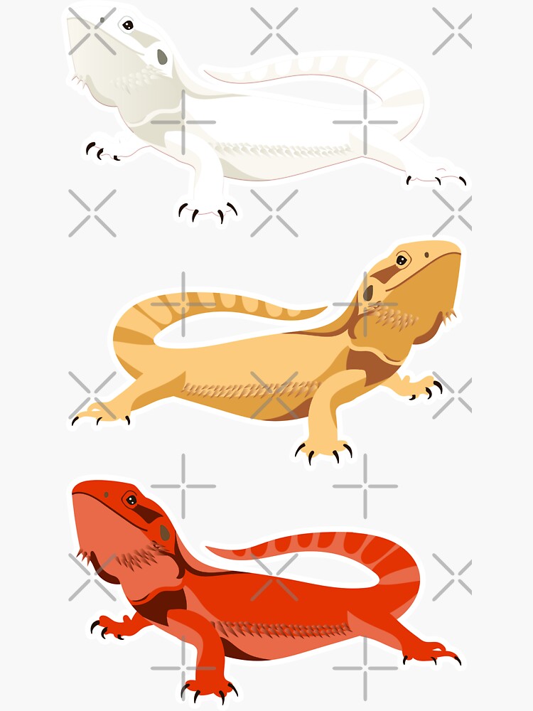 "Bearded dragon stickers pack" Sticker for Sale by aylastyle | Redbubble