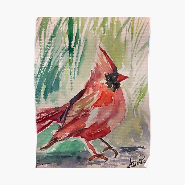 "Red Cardinal" Poster for Sale by AnjuPaintings | Redbubble