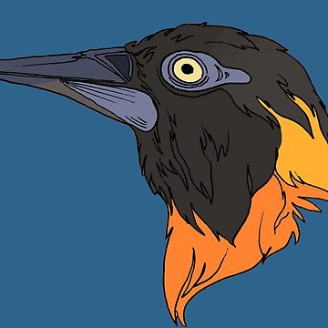 "National Animal of Venezuela: Venezuelan Troupial" Sticker for Sale by ...