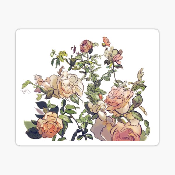 "Peach Roses" Sticker by bevsi | Redbubble
