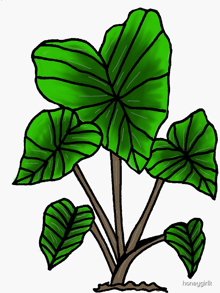 "Kalo is life!" Sticker for Sale by honeygirlk | Redbubble