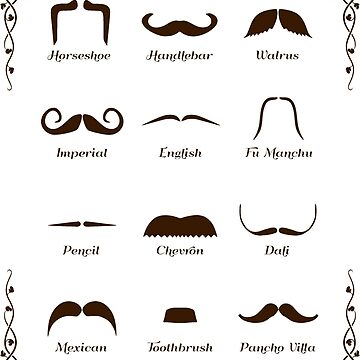 "Mustache Style Identification Chart" Canvas Print for Sale by ...