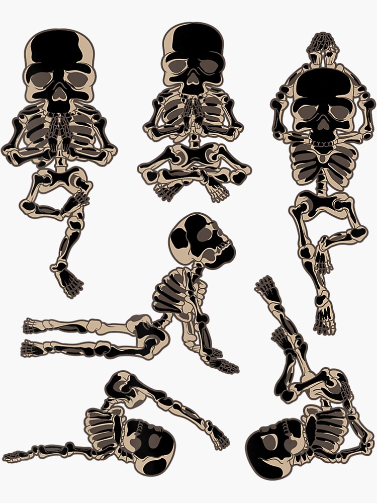 "Cool Skeleton Yoga Positions Human Bones Zen" Sticker for Sale by ...