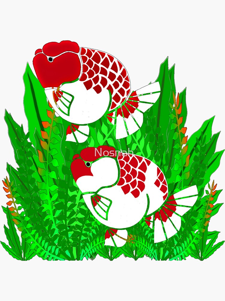 "Ranchu Pair Logo A 090721" Sticker by Nosnah | Redbubble