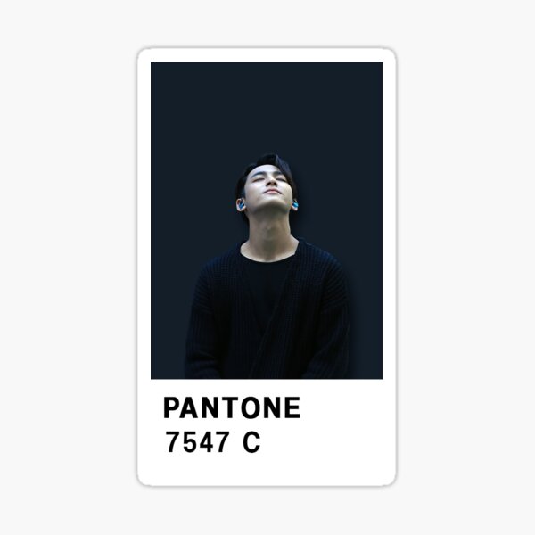 "SEVENTEEN PANTONE Mingyu " Sticker by vernonvibes | Redbubble