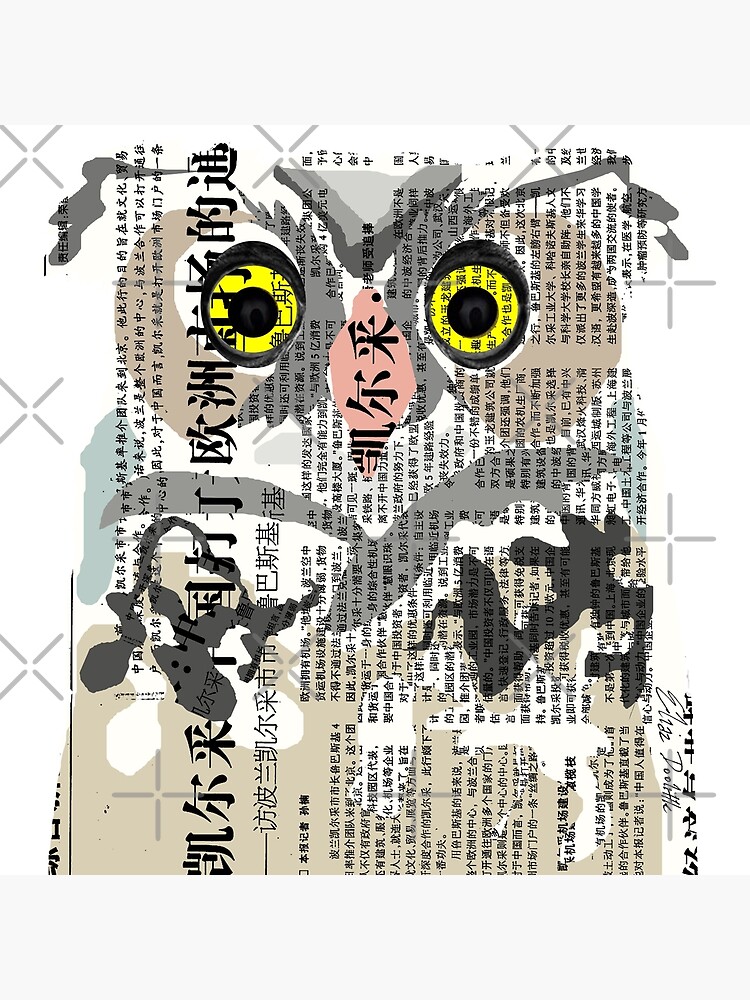 "Owl Newspaper Collage" Photographic Print by notsniwart | Redbubble