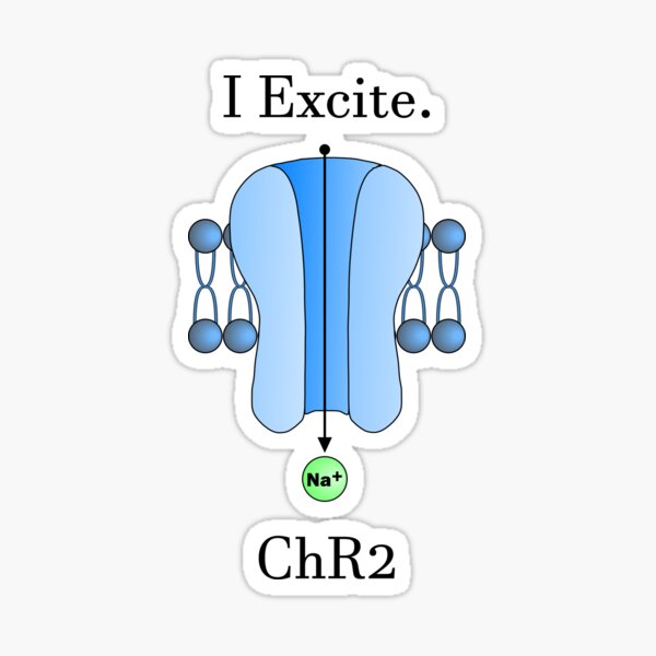 "Channelrhodopsin: I Excite" Sticker for Sale by frederer | Redbubble