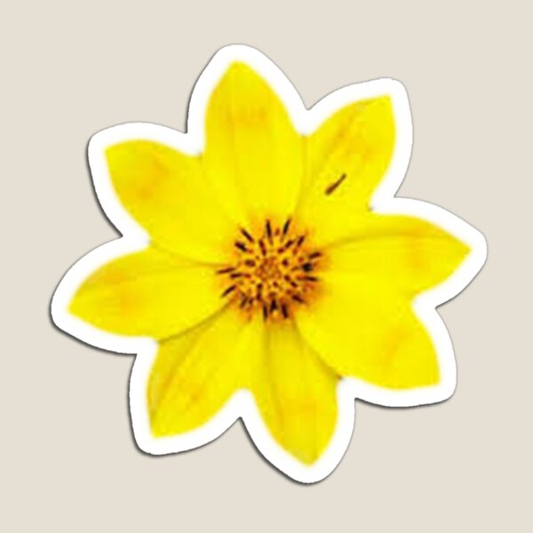 "Adey Abeba-Enkutatash" Magnet for Sale by HaGeez | Redbubble