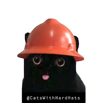 "Walter Berry OG" Sticker for Sale by Catwithhardhat | Redbubble