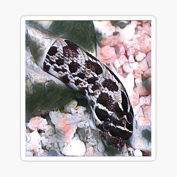 "Richard Hatching" Sticker for Sale by ParisKaufman | Redbubble