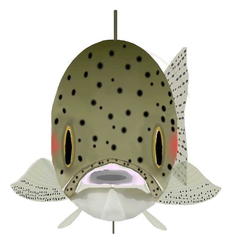"Rainbow Trout - Fish Head" by fishfolkart | Redbubble