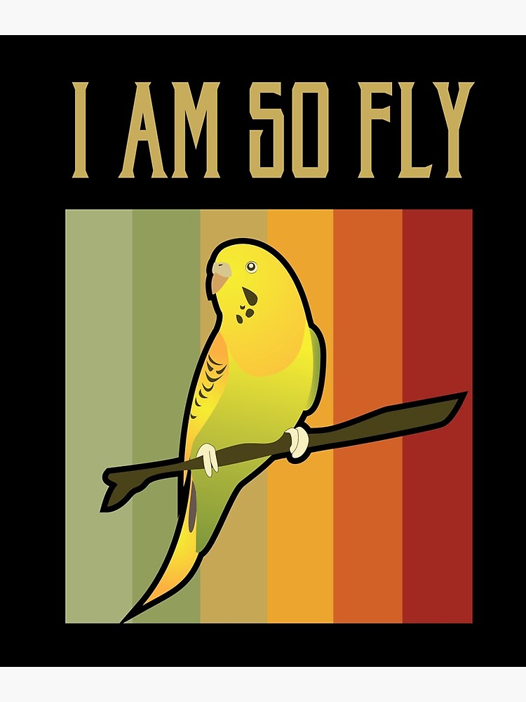"I am so Fly Retro Vintage Budgie Lover Budgerigar Parakeet " Poster ...