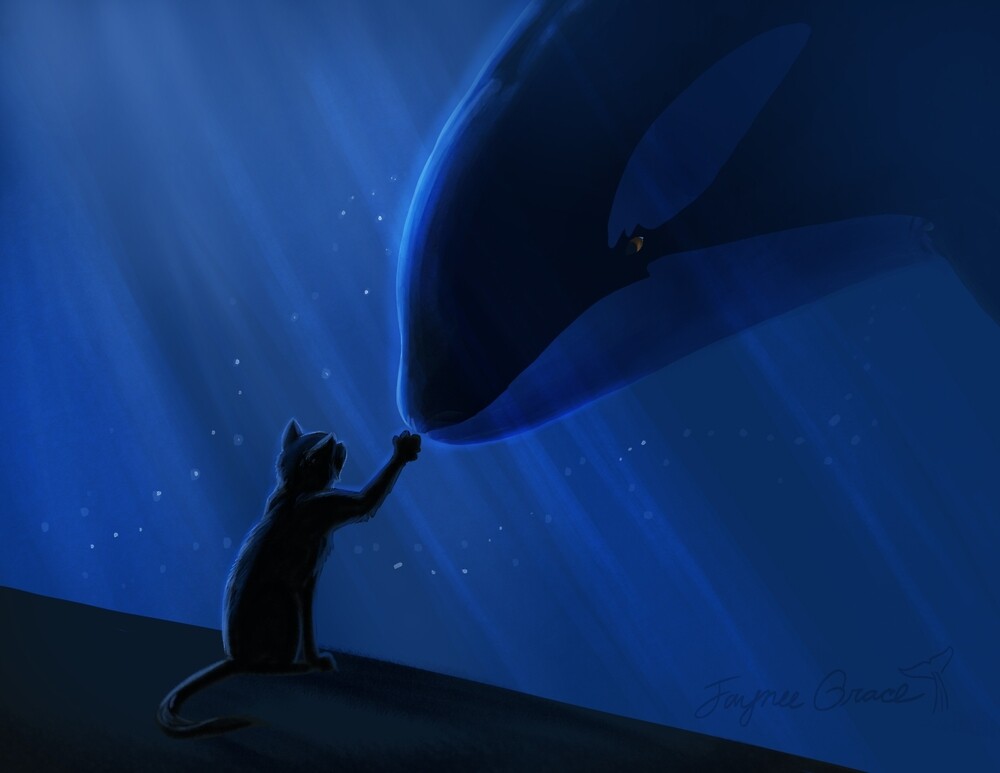 "The Cat and the Whale" by Jaynee Grace | Redbubble