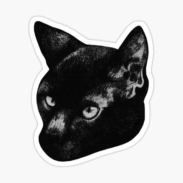 "Black Cat Realistic Portrait #2" Sticker by permabunnyink | Redbubble