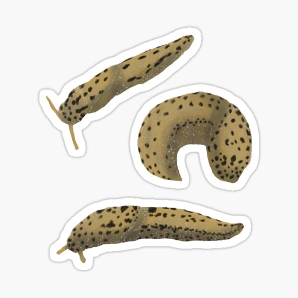 "Leopard Slugs" Sticker for Sale by TrapperWeasel | Redbubble