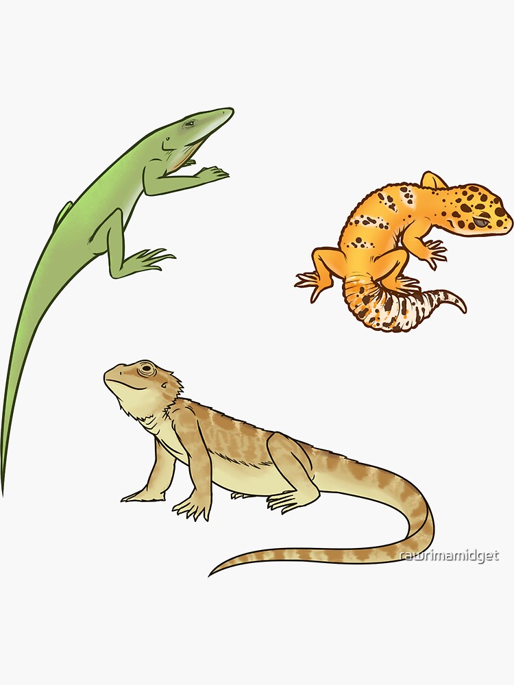 "Lizard Stickers 1" Sticker for Sale by rawrimamidget | Redbubble